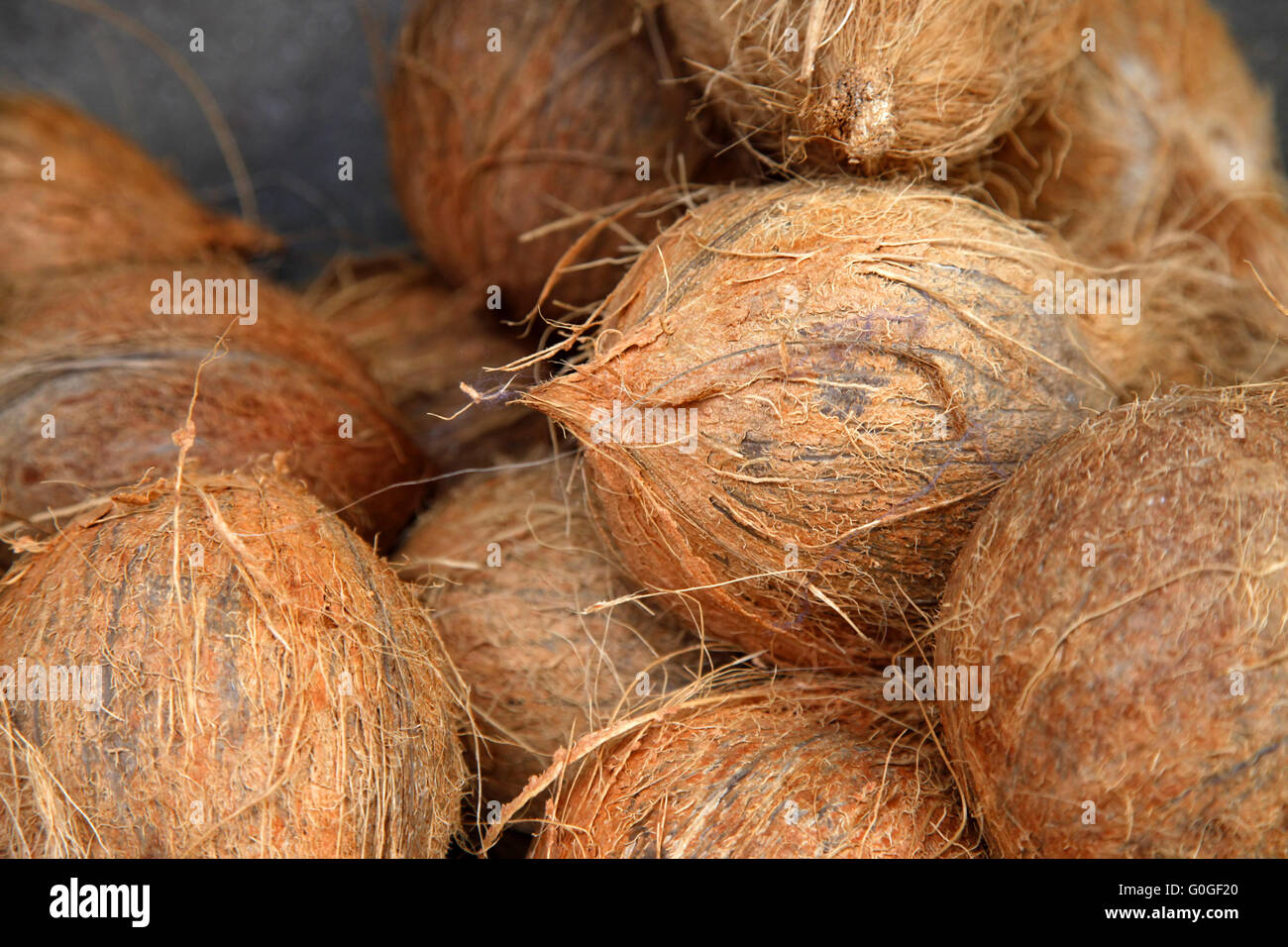 Large coconuts hi-res stock photography and images - Alamy