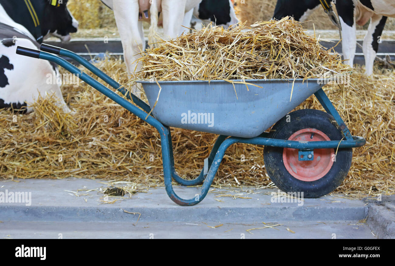 Livestock equipment hi-res stock photography and images - Alamy