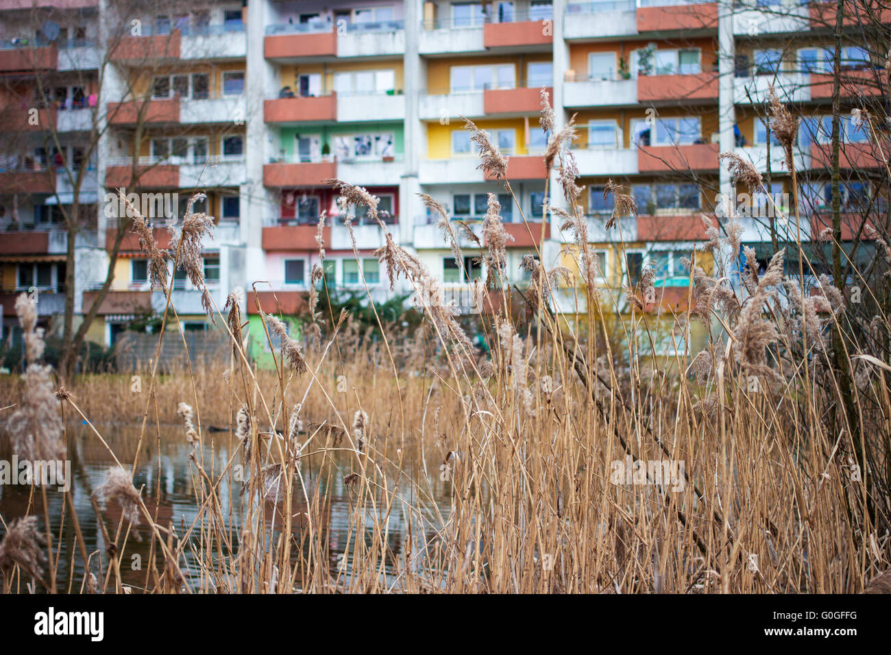 Pond and tenement in Bonames/Nieder-Eschbach, Frankfurt, Germany Stock ...