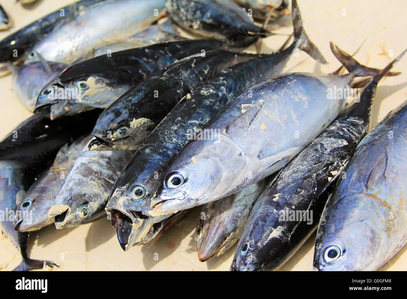 Tuna fish tail hi-res stock photography and images - Alamy