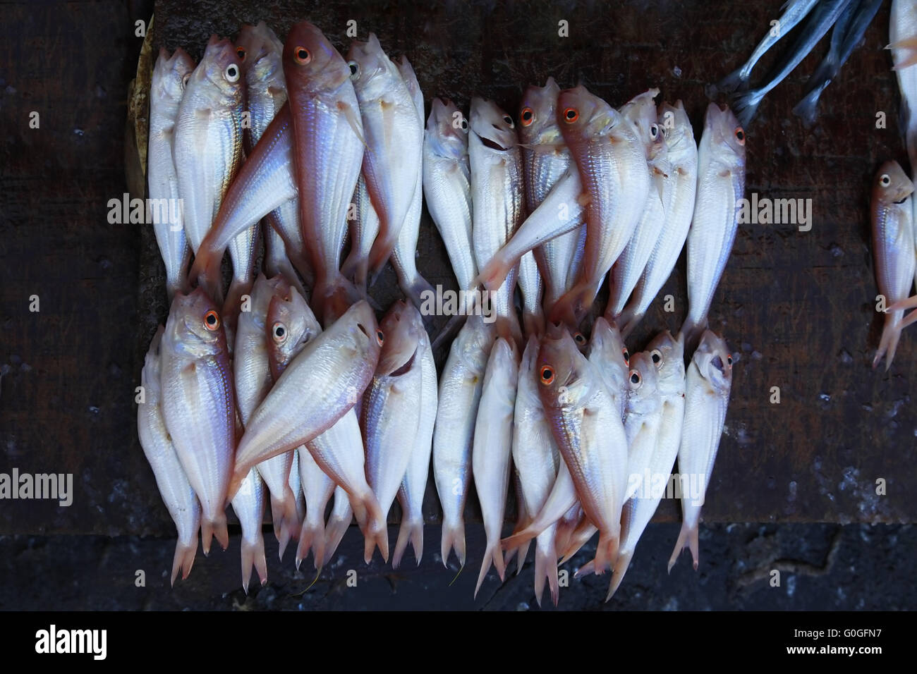 Stone town fish market hi-res stock photography and images - Alamy