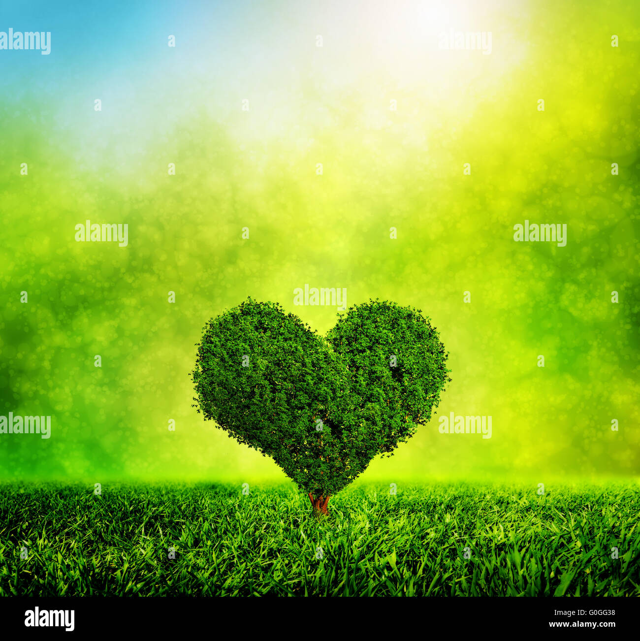 Heart shaped tree growing on green grass. Love Stock Photo - Alamy