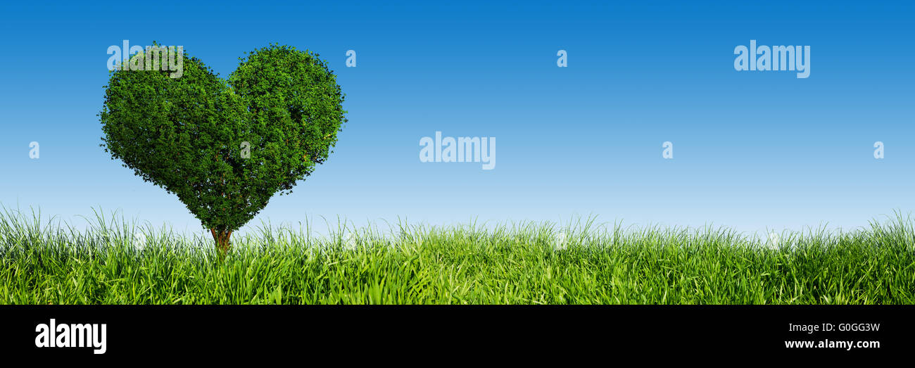 Heart shape tree on green grass field landscape. Panorama Stock Photo ...