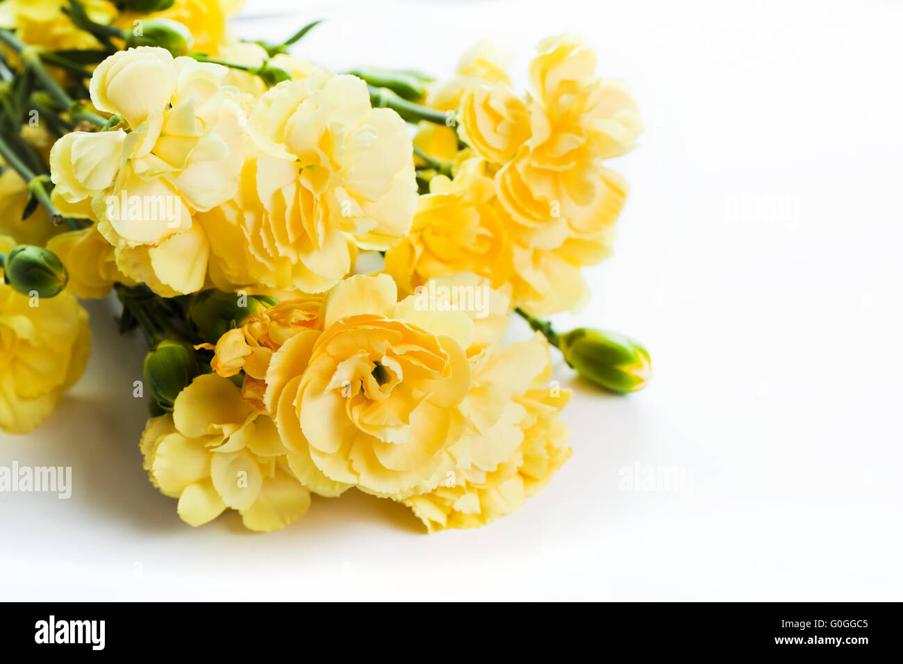 Yellow soft spring flowers bouquet on white background Stock Photo - Alamy