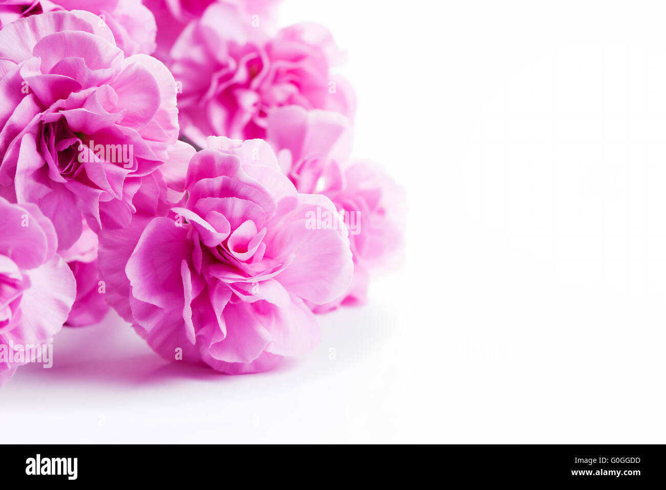 Pink soft spring flowers bouquet on white background Stock Photo - Alamy