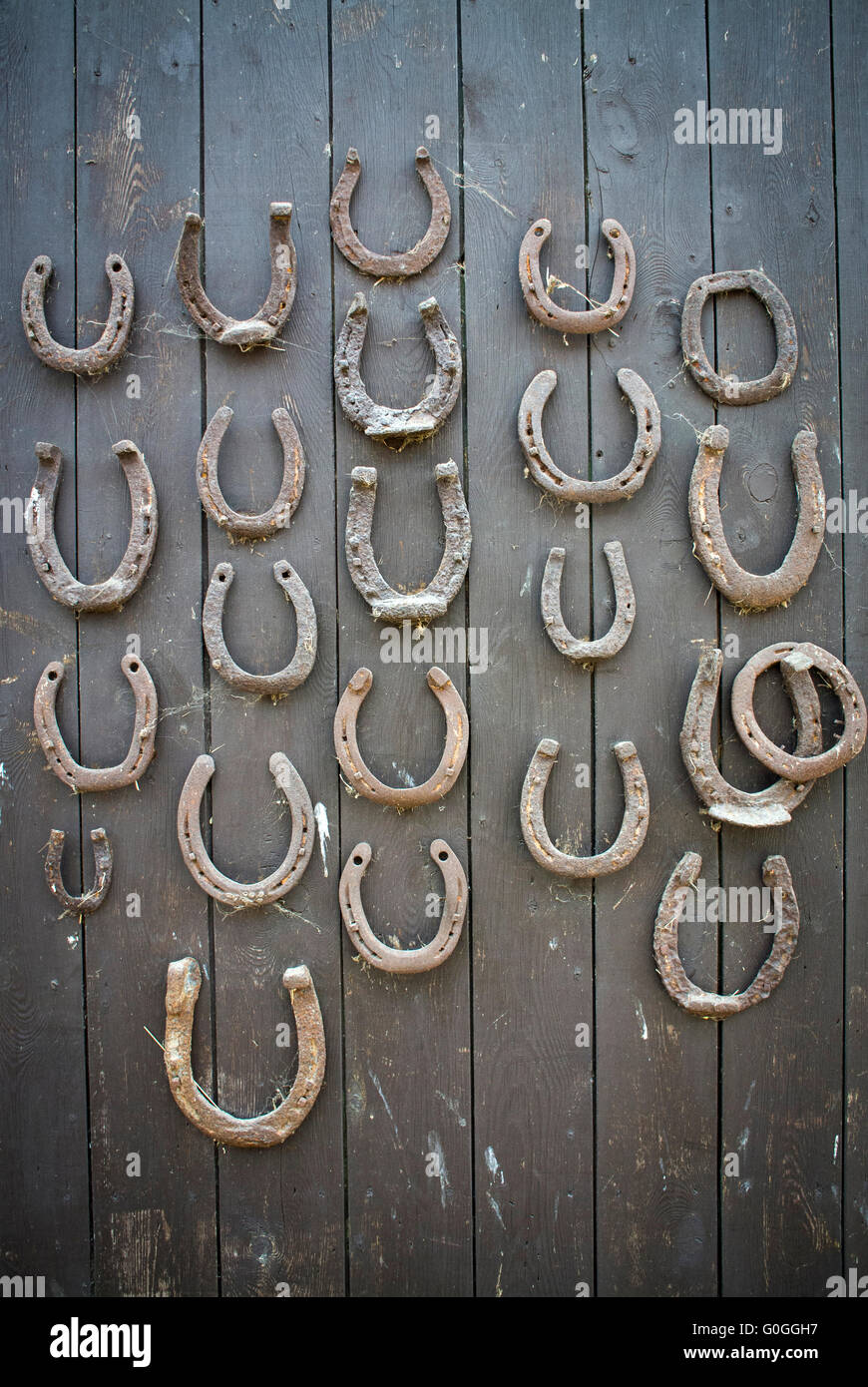 Horse Shoe Good Luck