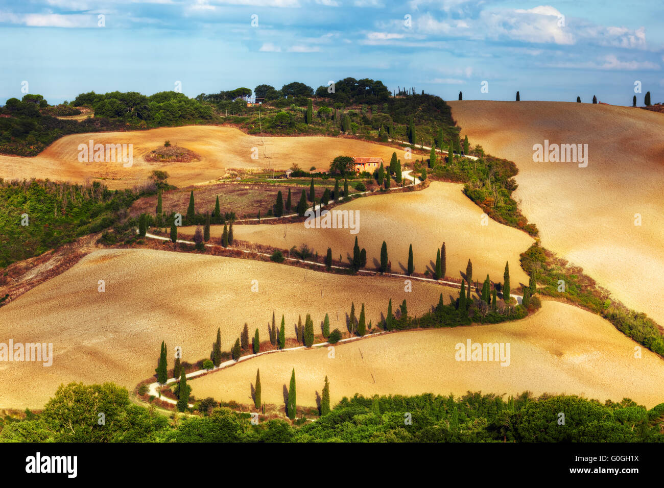 Cypress trees serpentine road in Tuscany, Italy. Amazing Tuscan ...