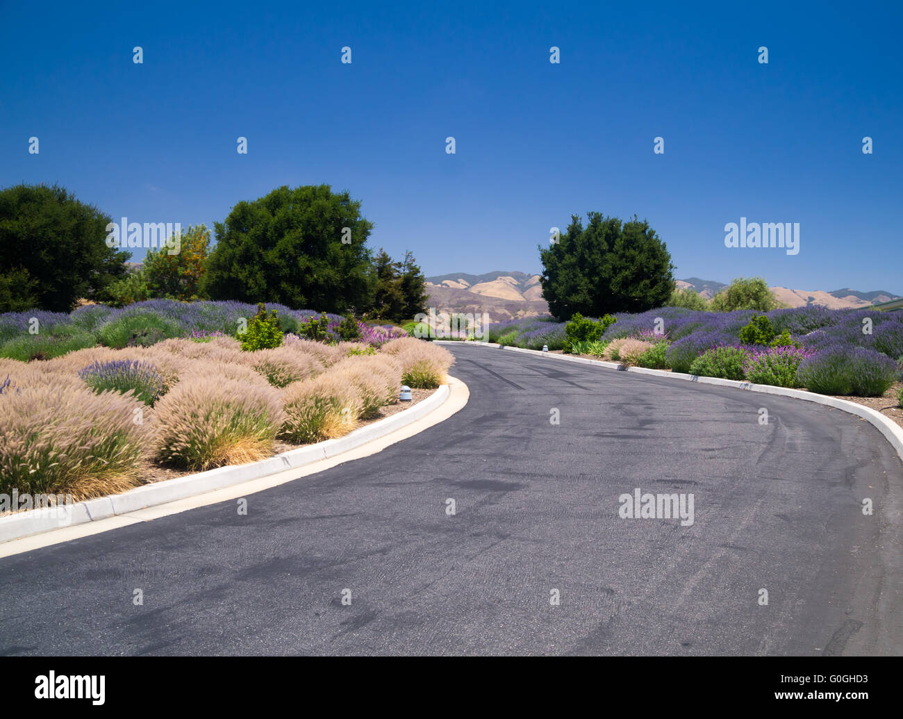 Desert landscaping hi-res stock photography and images - Alamy