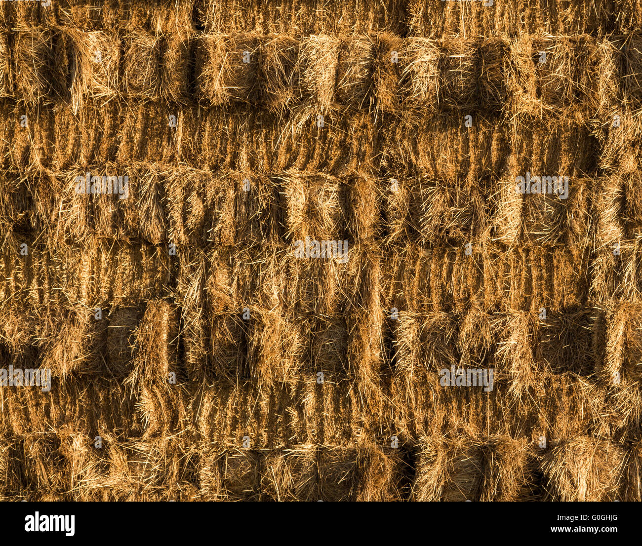 Freshly stack wall of hay bales Stock Photo - Alamy
