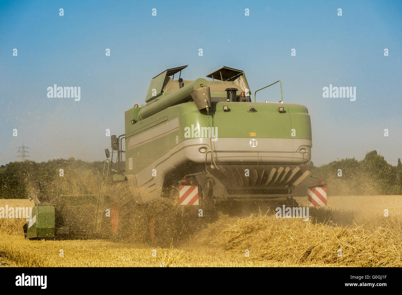 Rear view of a combine harvester during harvesting on a cornfield Stock ...