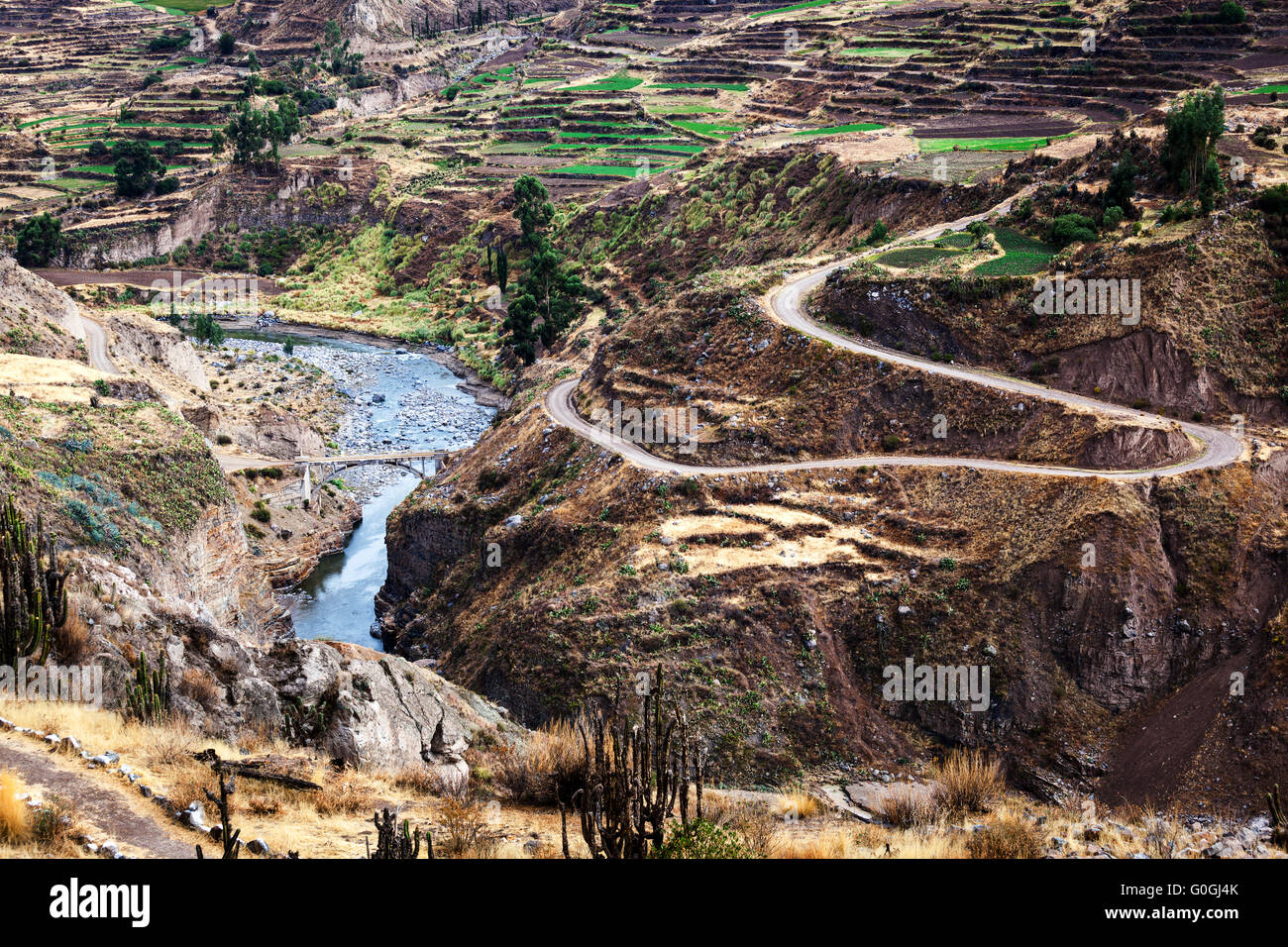 terrace on the bank Stock Photo - Alamy