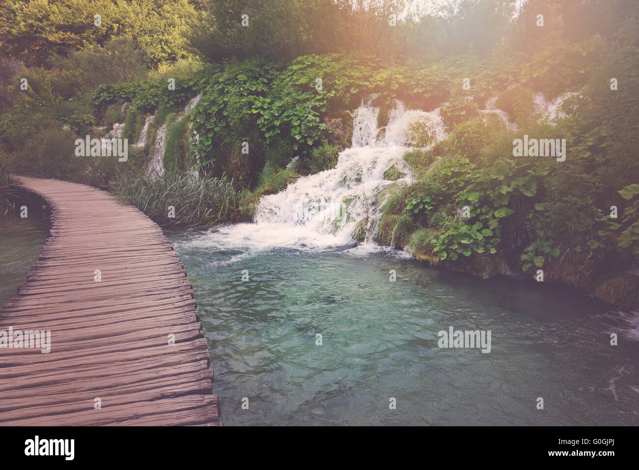 Plank pathway garden hi-res stock photography and images - Alamy
