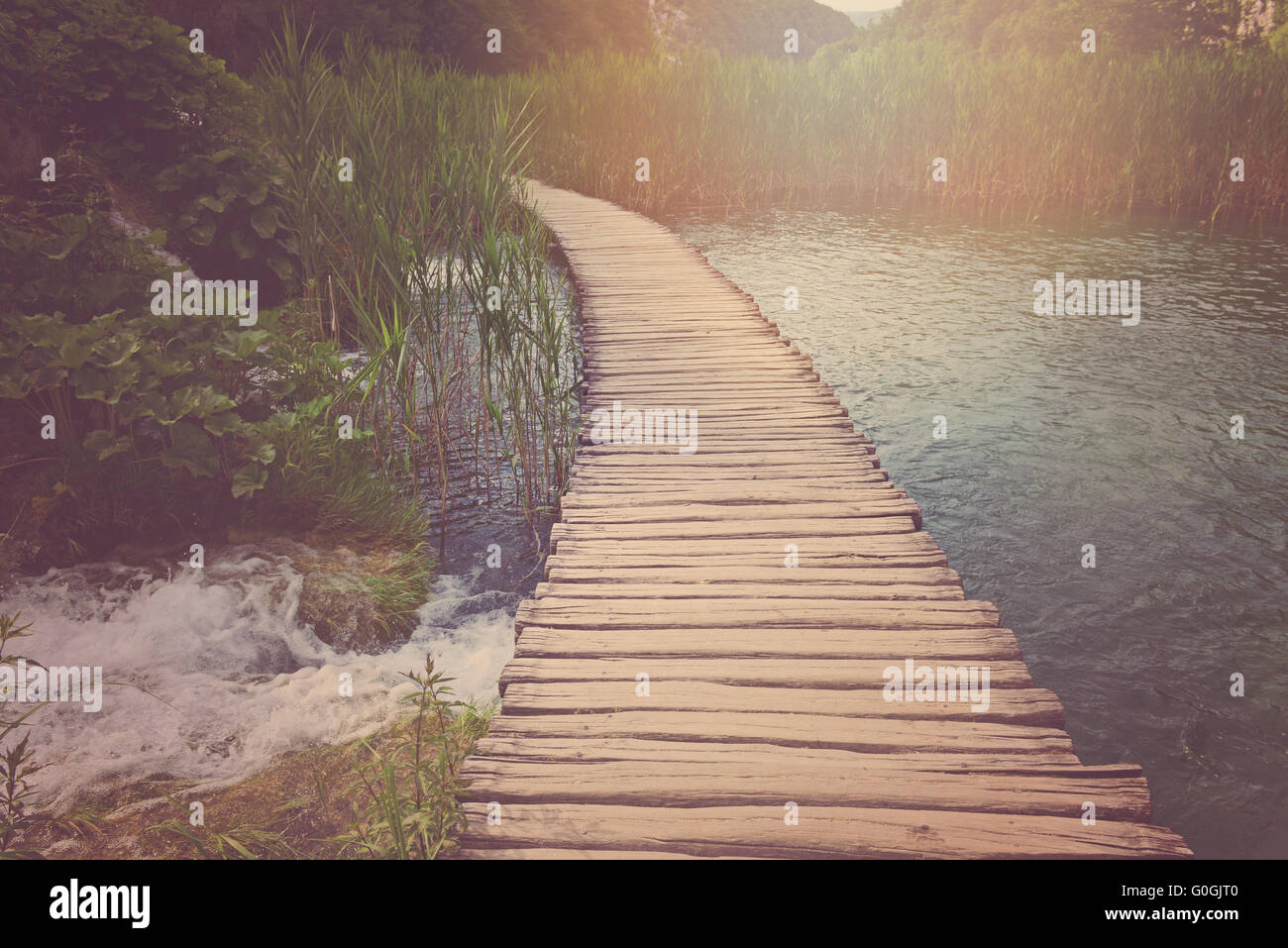 Plank pathway garden hi-res stock photography and images - Alamy