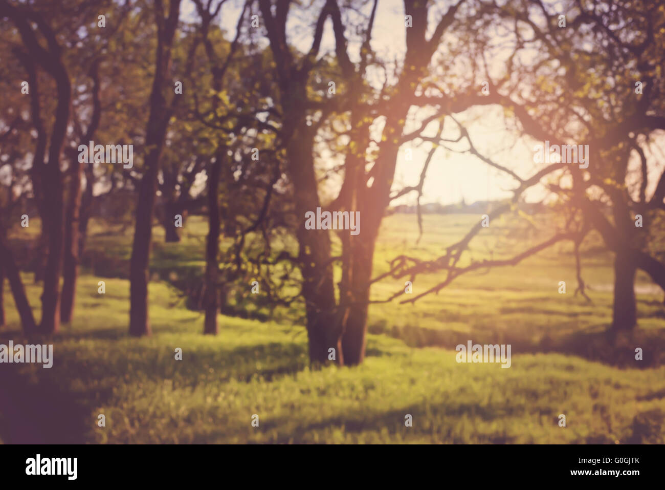 Nature Background with Instagram Style Filter Stock Photo - Alamy