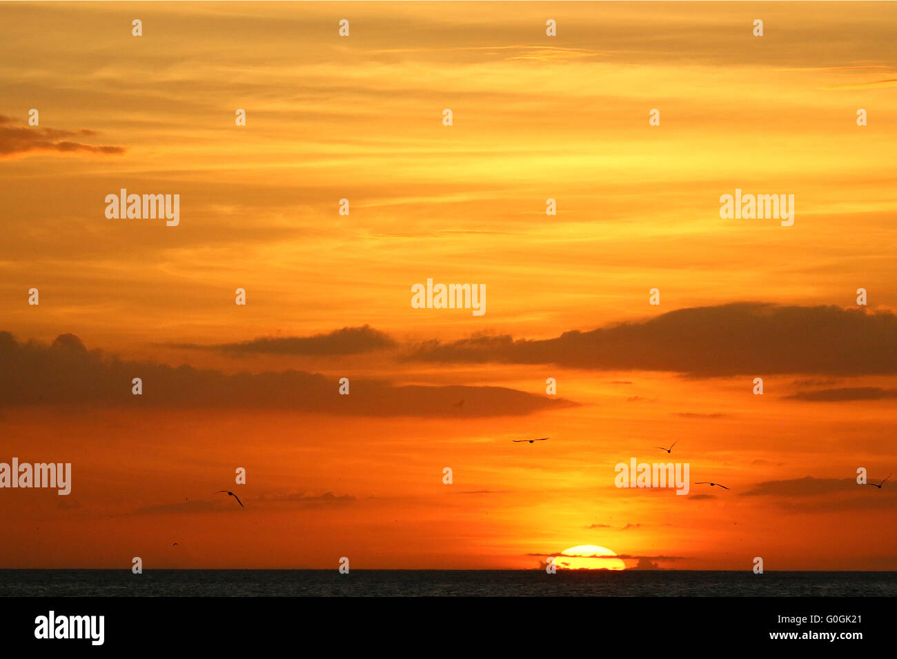 Captiva sunset hi-res stock photography and images - Alamy