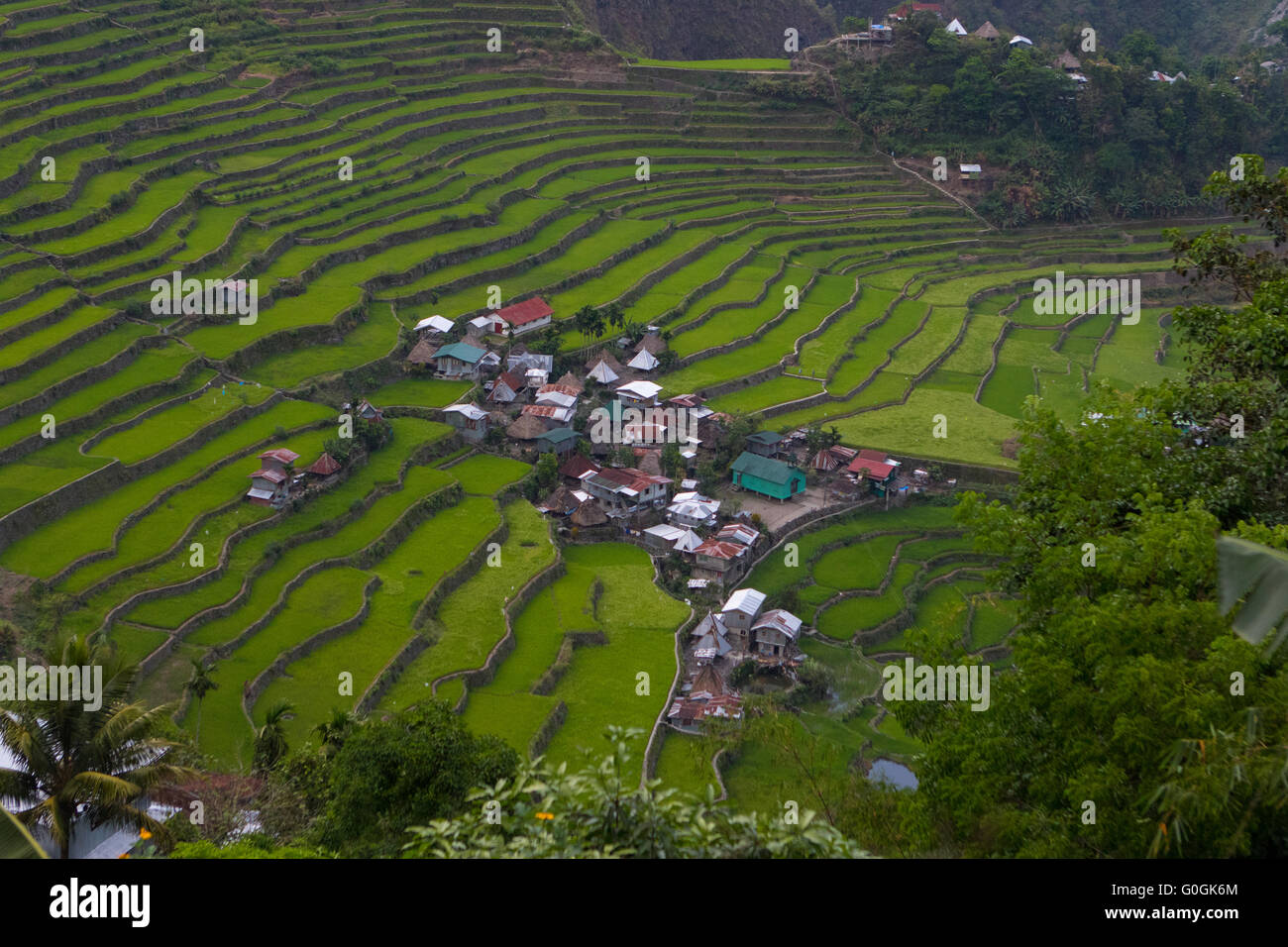 Ancient Rice Terraces of Batad located in the region of Banaue ...