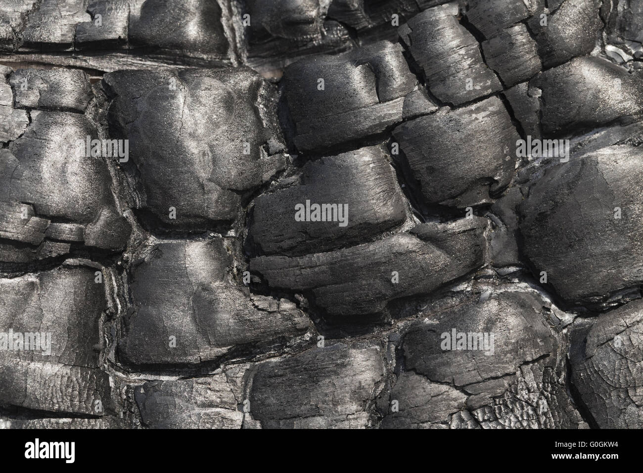 Burnt wood, texture Stock Photo - Alamy