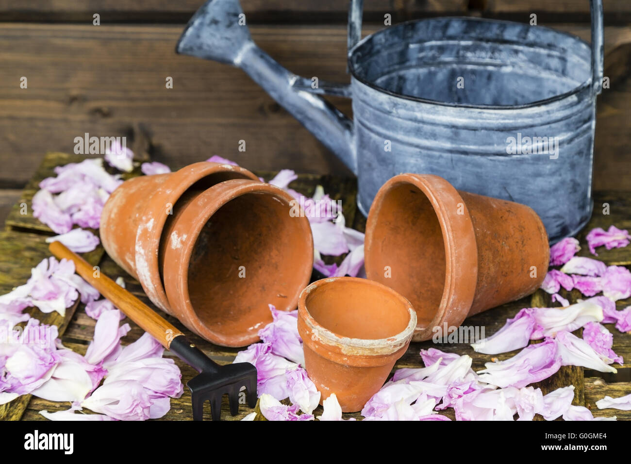 still life with flower pot Stock Photo - Alamy