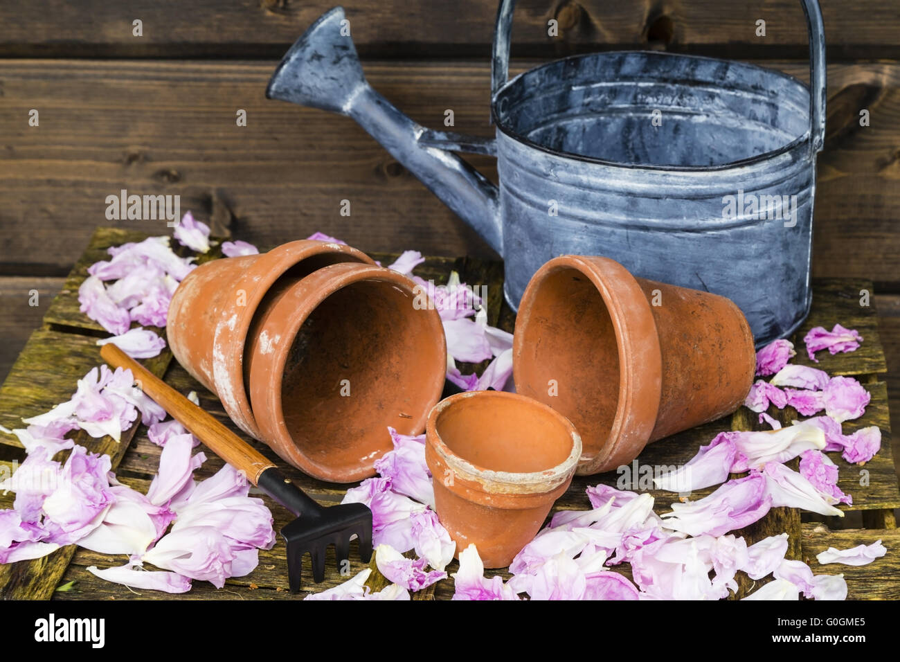Still life flower pot hi-res stock photography and images - Alamy