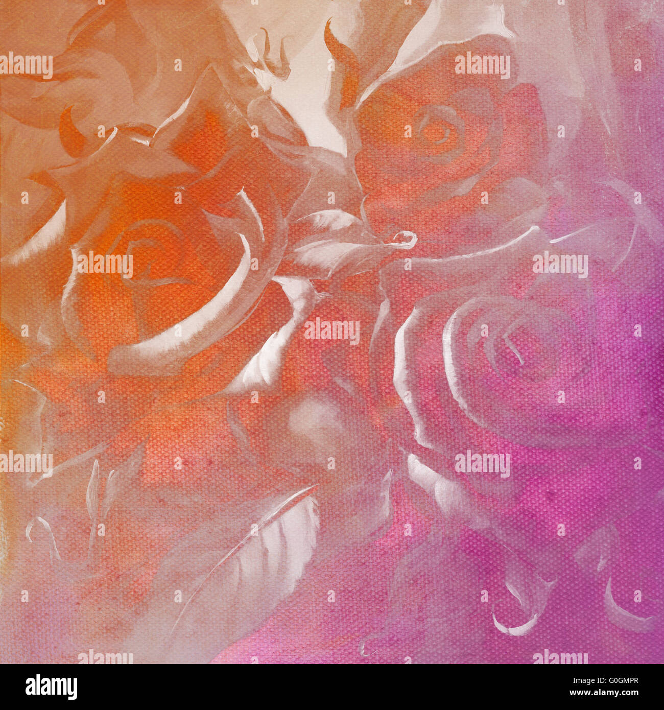 Red edged rose hi-res stock photography and images - Alamy