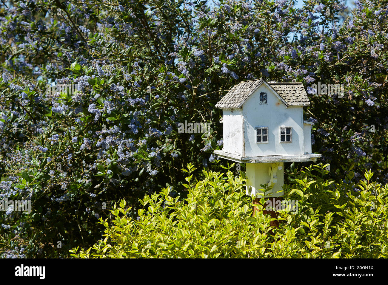 Bird House, Fort Mason Community Garden Stock Photo - Alamy