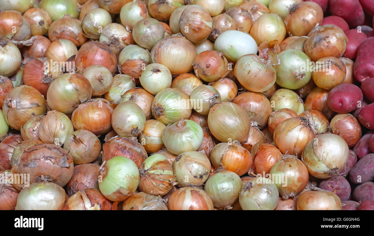 Onion pile hi-res stock photography and images - Alamy