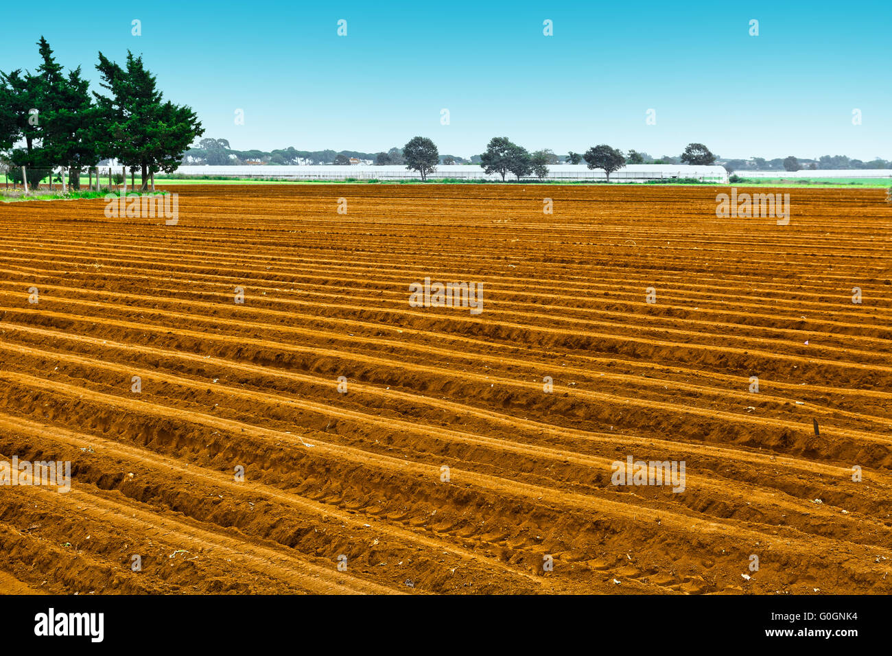 Italian greenhouse hi-res stock photography and images - Alamy