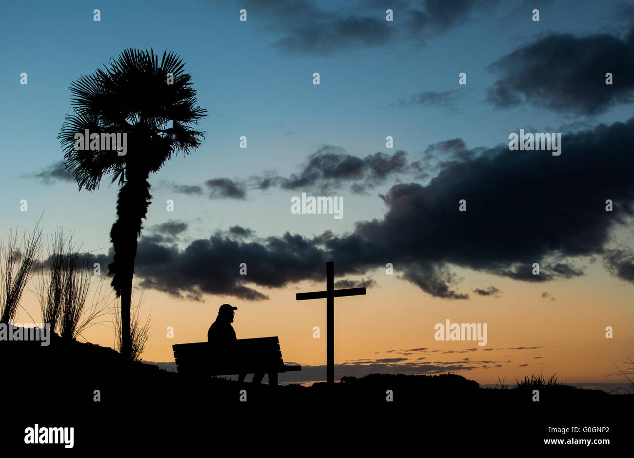 Man sitting on a park seat with a tree on one side of him and a cross ...