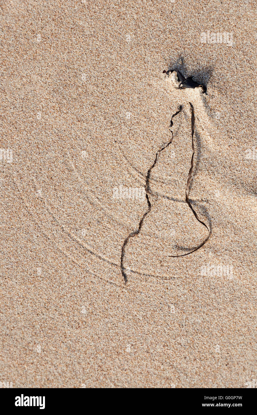 Wind marks hi-res stock photography and images - Alamy