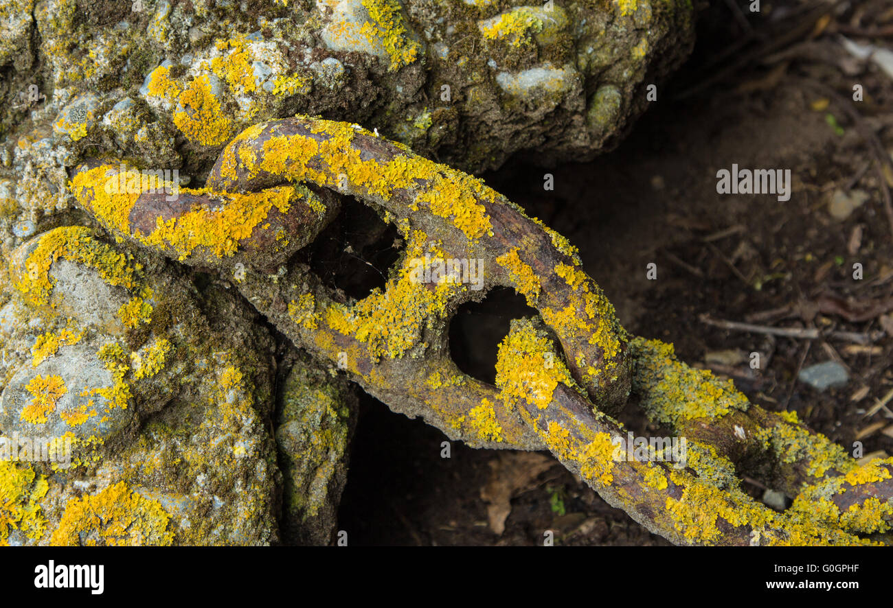 Very old chain links with moss growing on them Stock Photo - Alamy