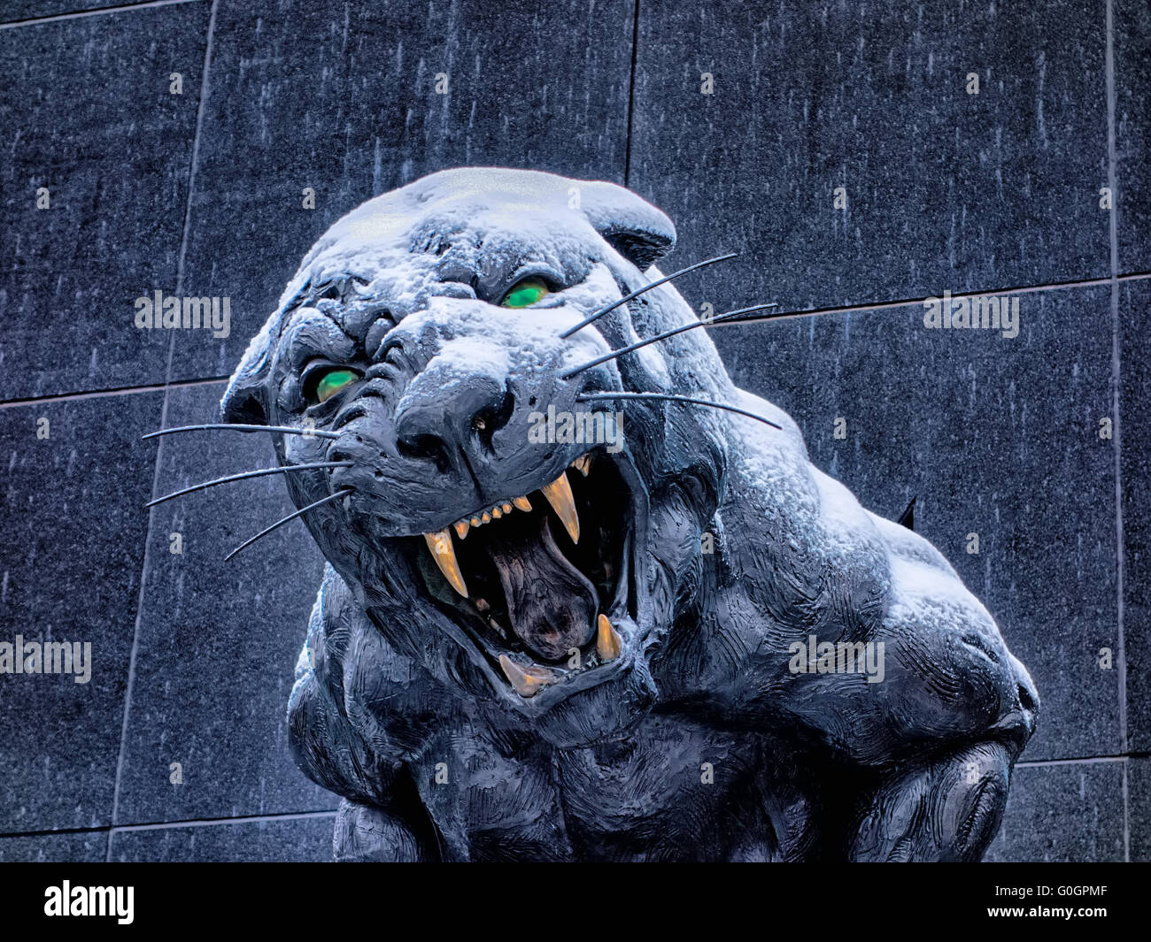 Panther football hi-res stock photography and images - Alamy