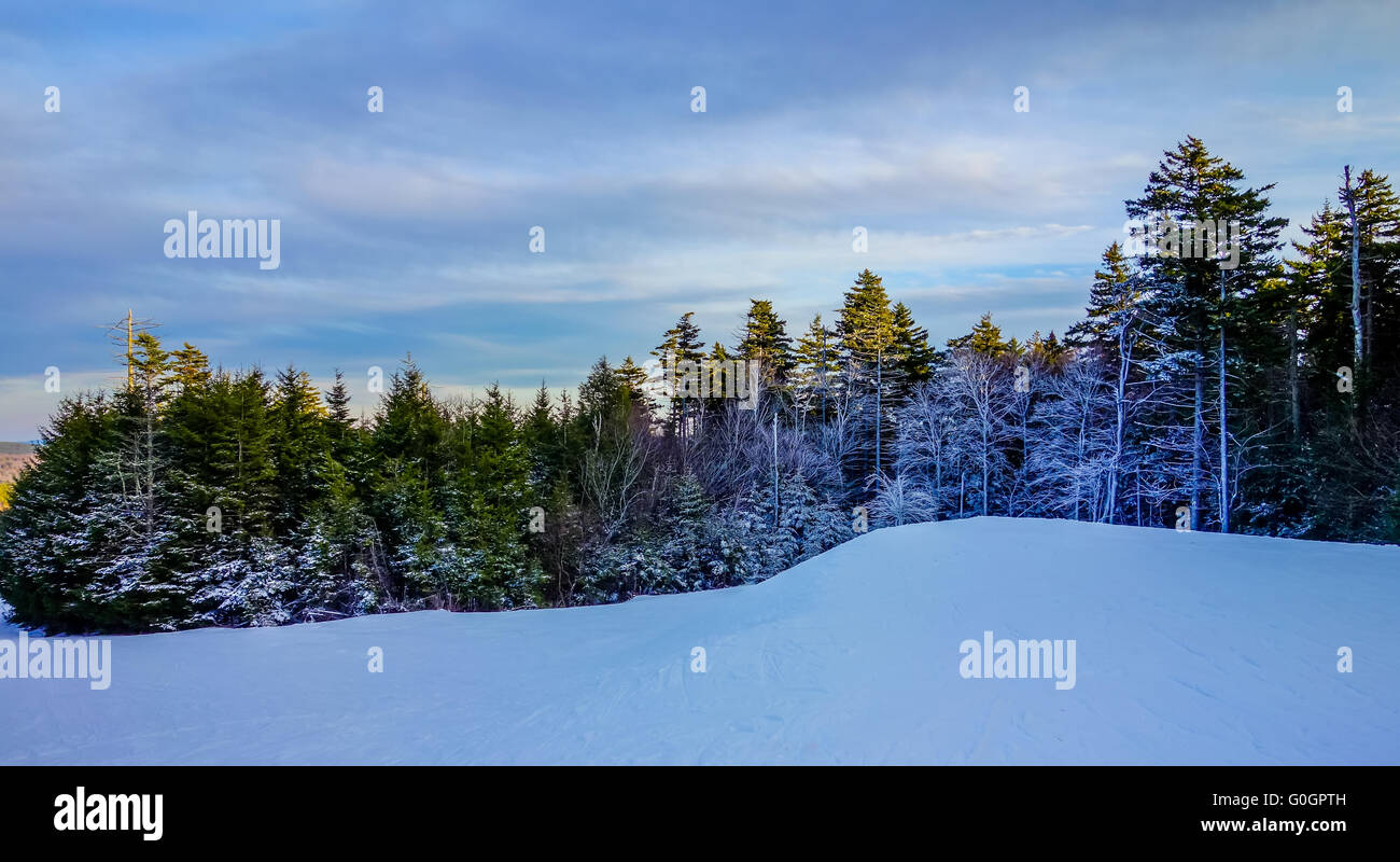 Timberline hi-res stock photography and images - Alamy