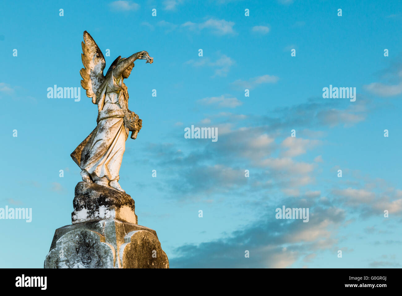 Old marble stone statue of a angle Stock Photo - Alamy