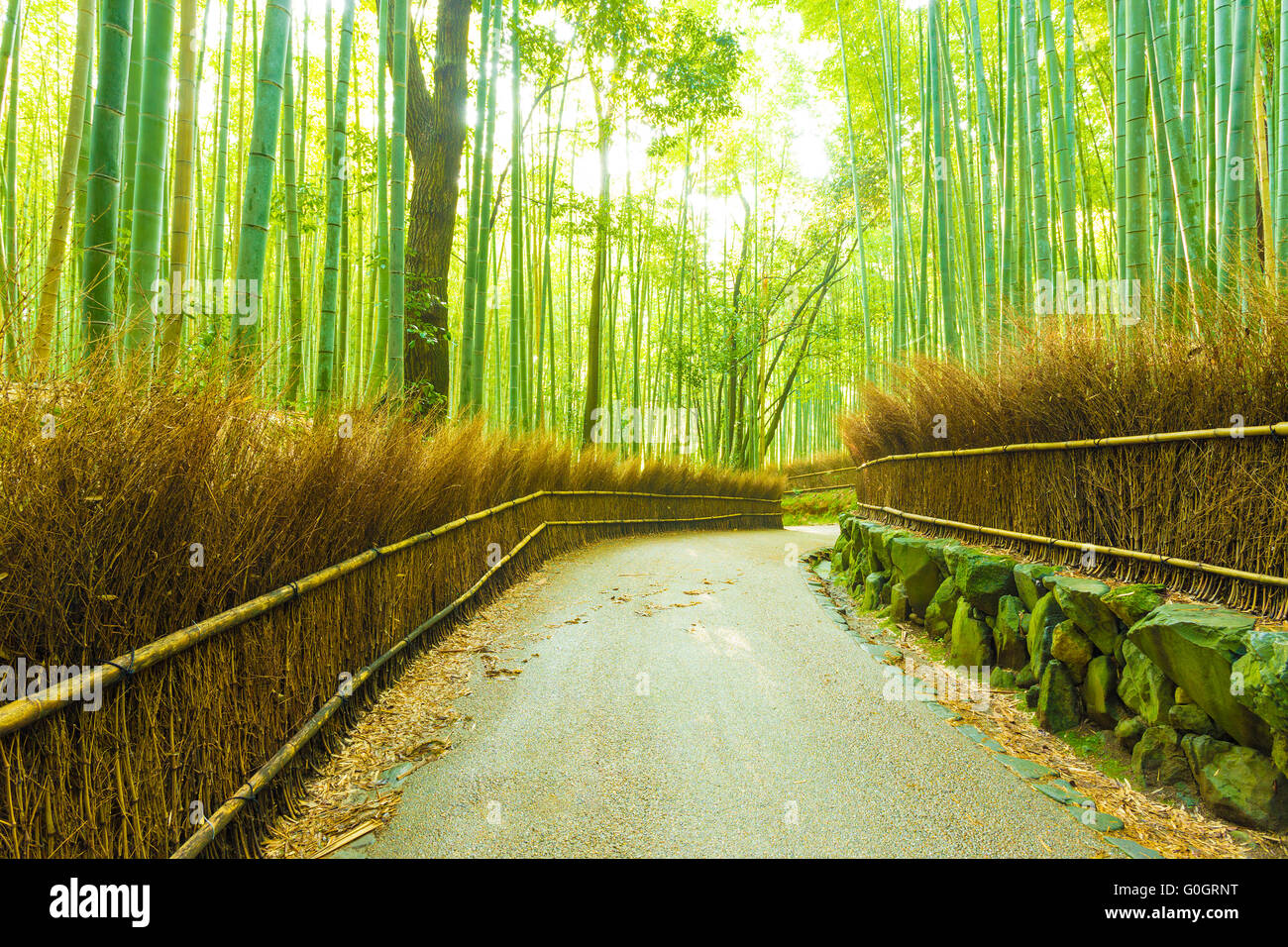 Arashiyama bamboo grove hi-res stock photography and images - Alamy