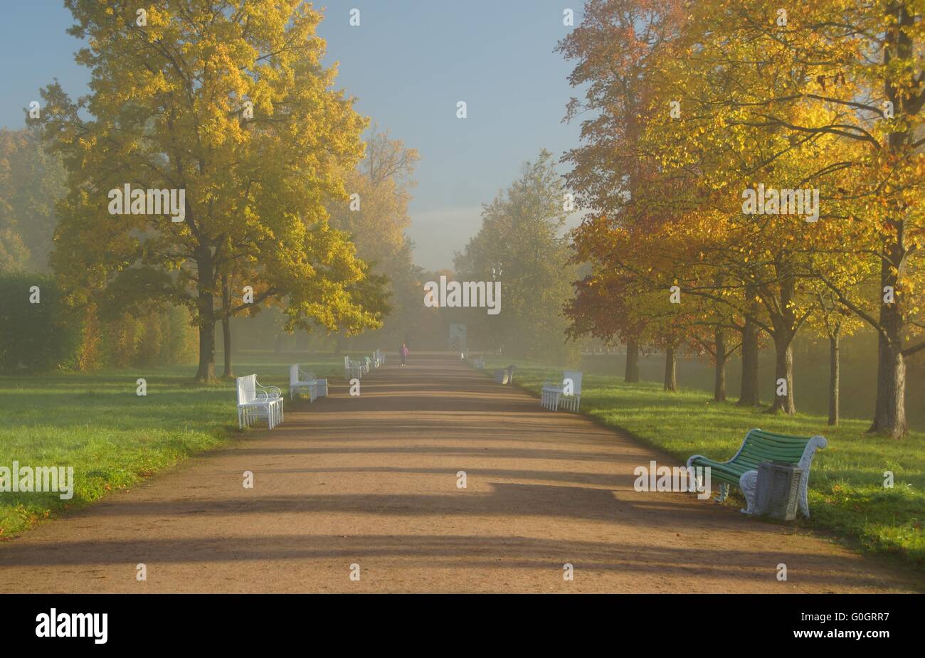 Autumn morning at Alexander Park Stock Photo - Alamy