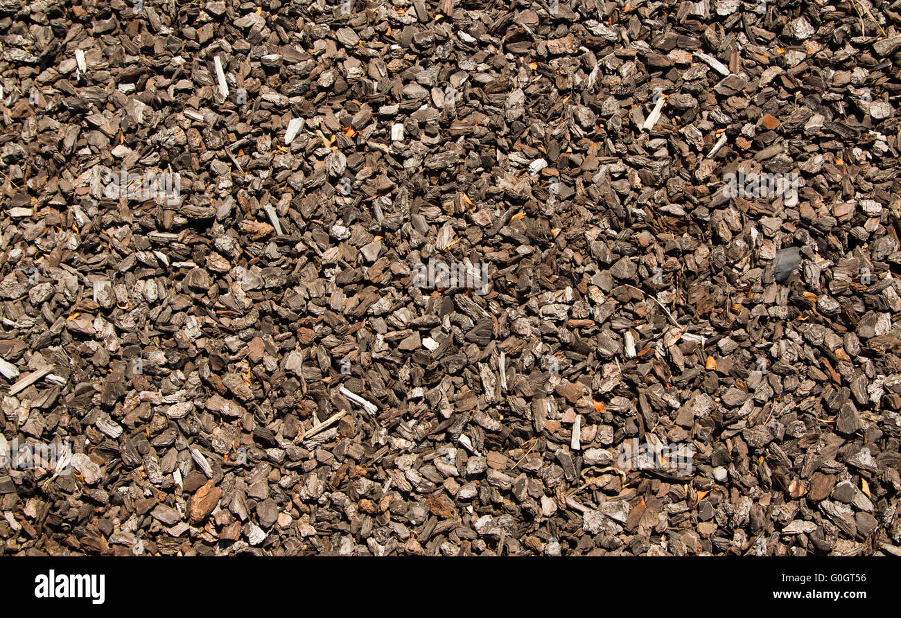 Great nature bark chip texture mostly of pine trees Stock Photo - Alamy