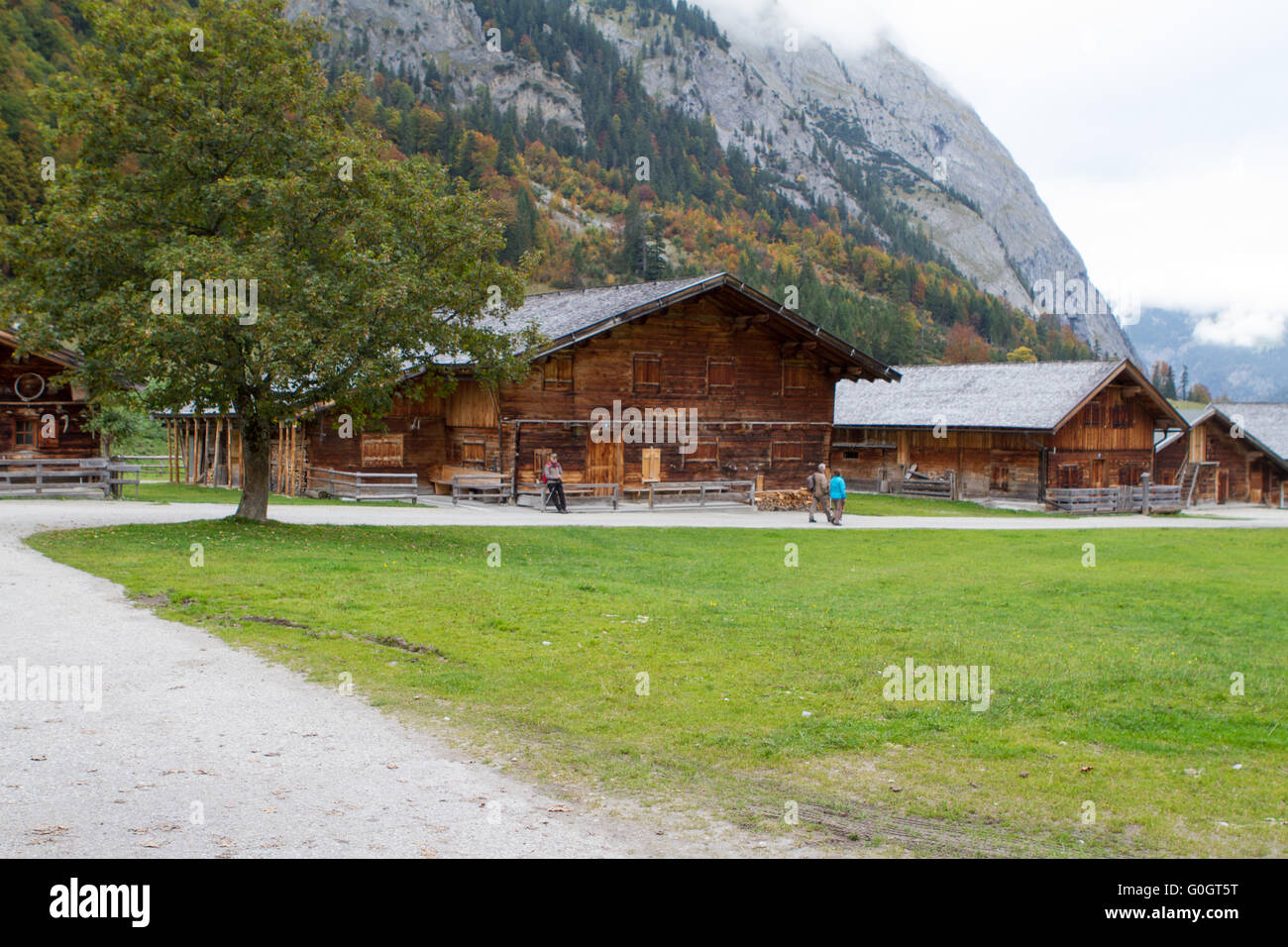 Marble tree hi-res stock photography and images - Alamy