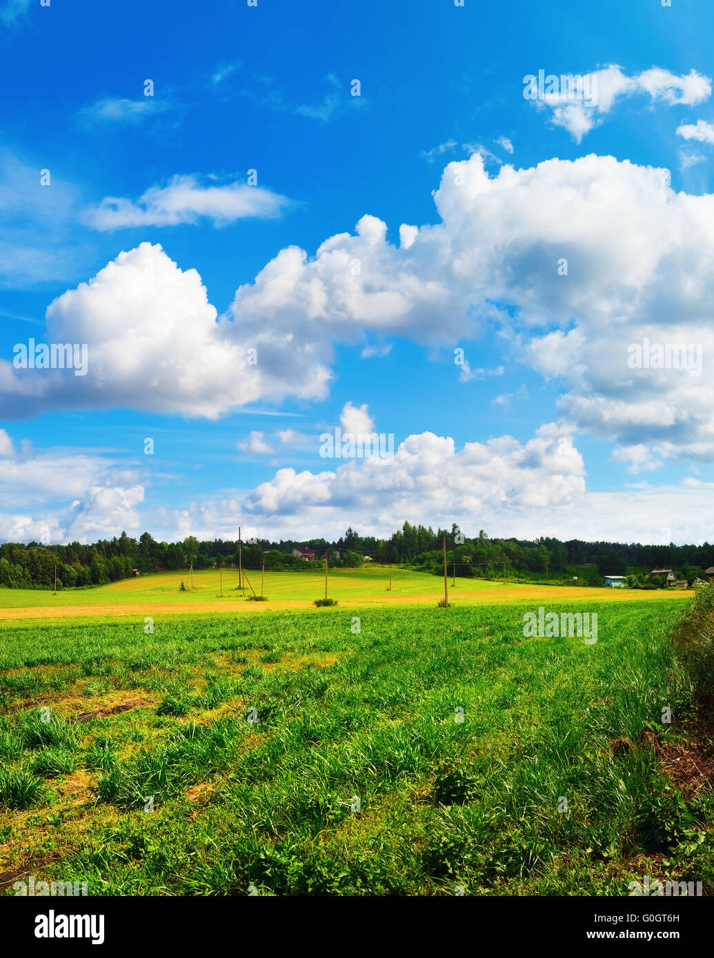 Summer rural landscape Stock Photo - Alamy