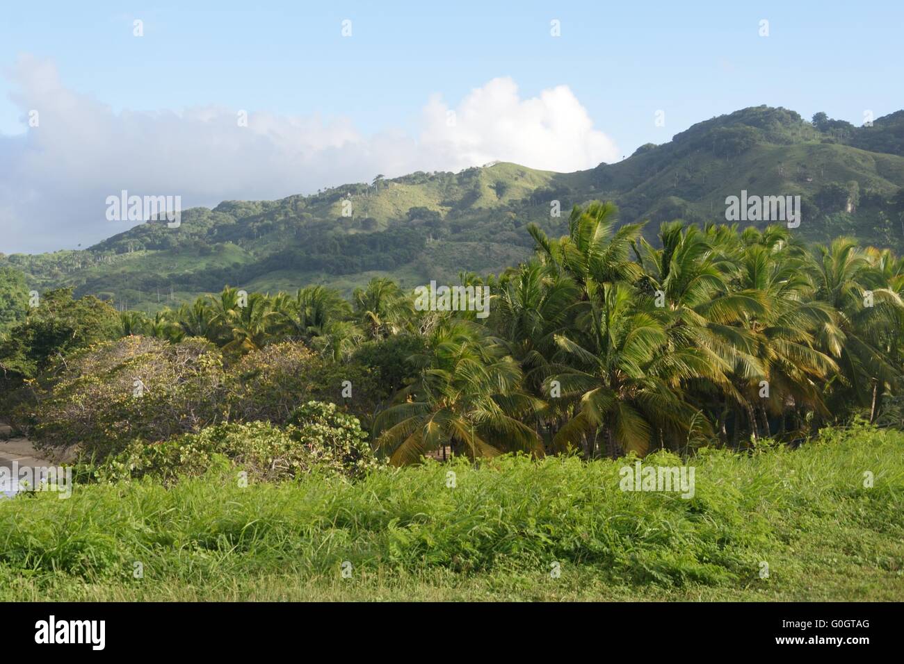 Landscape Dominican Republic Stock Photo - Alamy