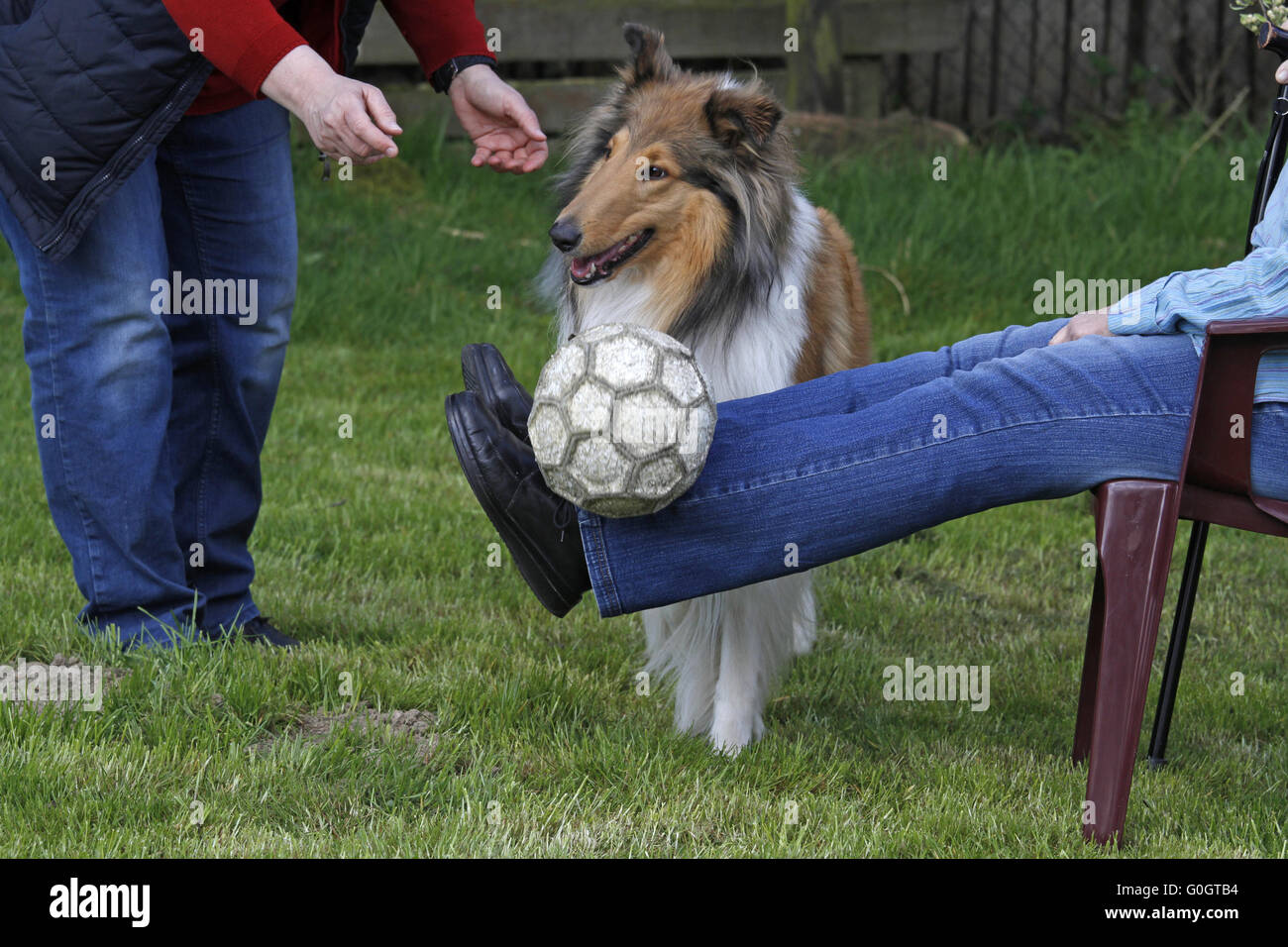 Animal assisted therapy hi-res stock photography and images - Alamy