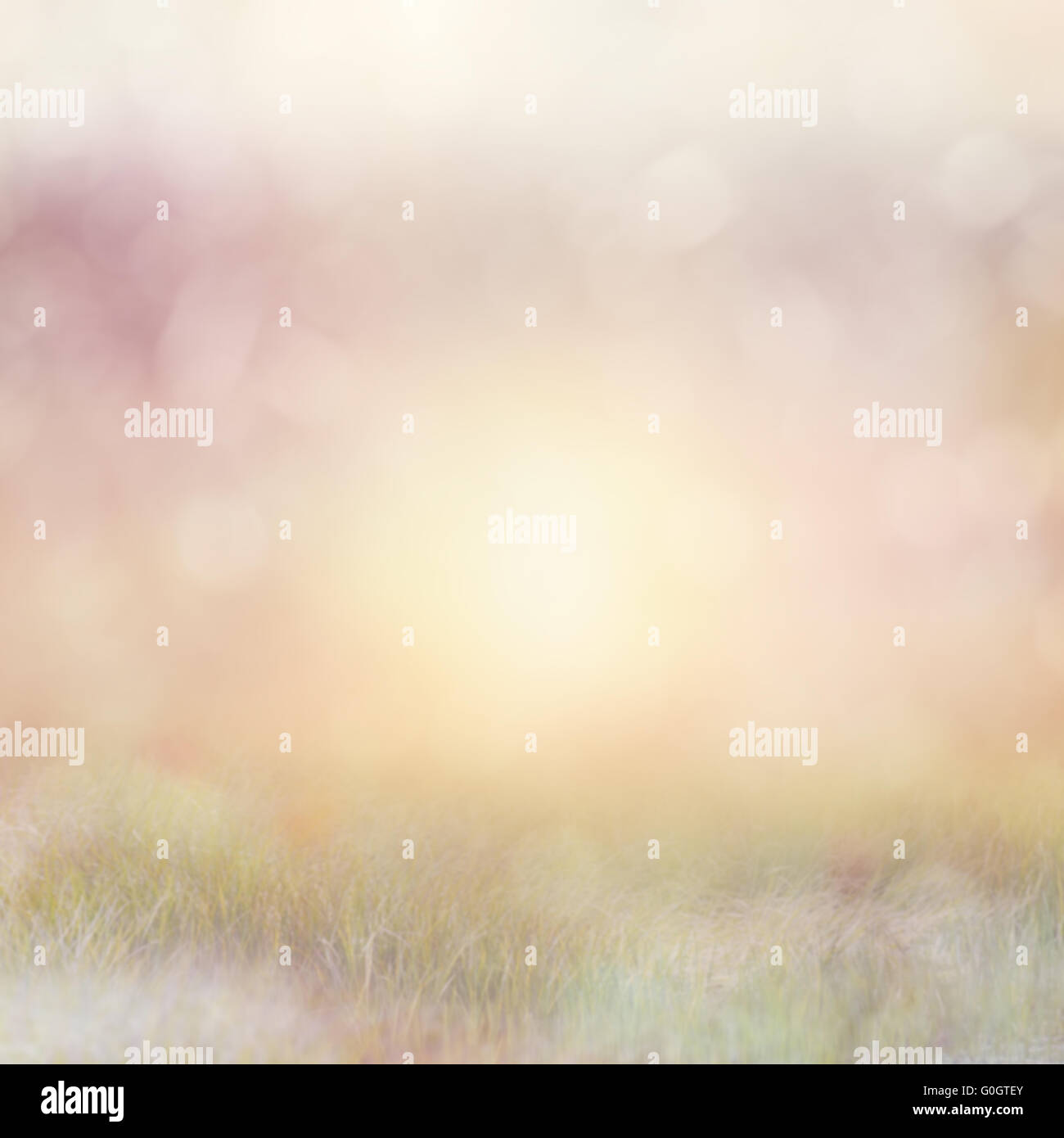 Nature Abstract Background Stock Photo - Alamy