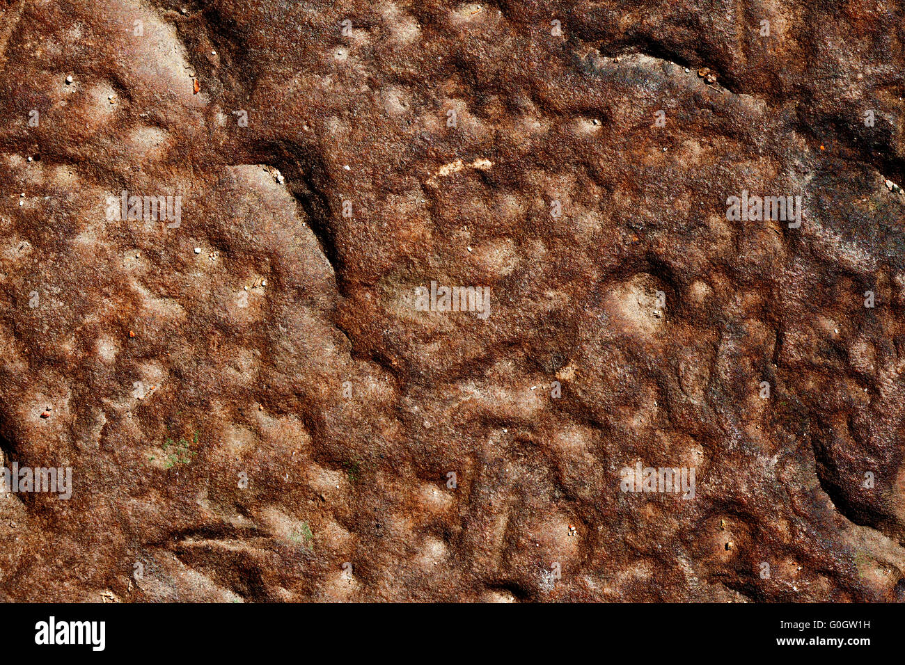 Ruff Texture High Resolution Stock Photography and Images - Alamy