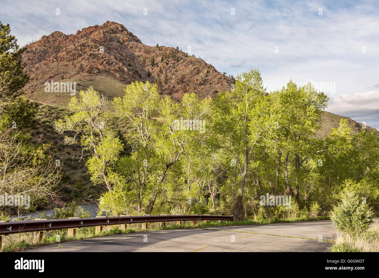 Cache tree hi-res stock photography and images - Alamy