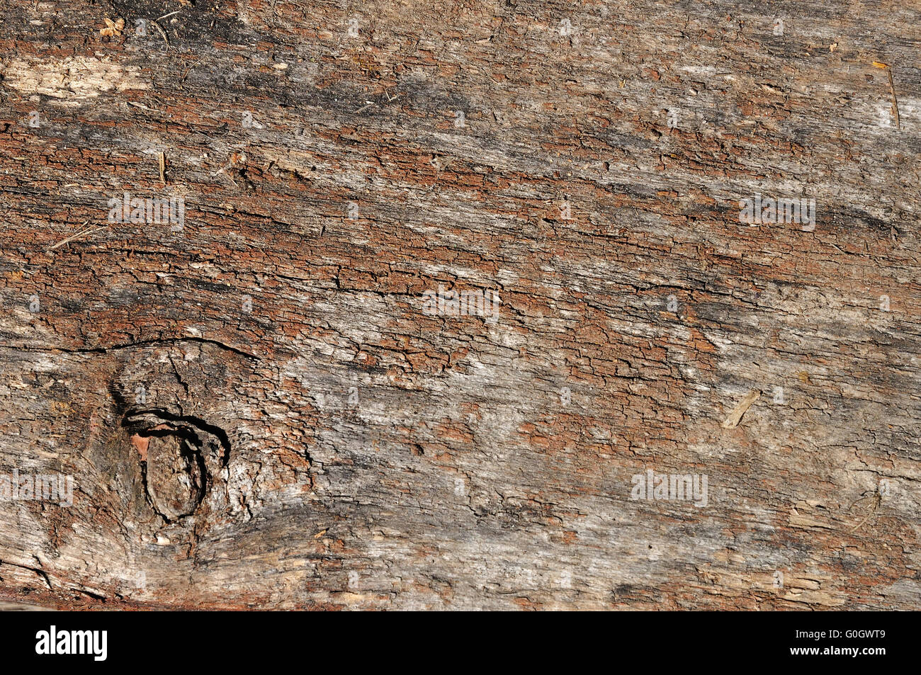 Damaged timber hi-res stock photography and images - Alamy