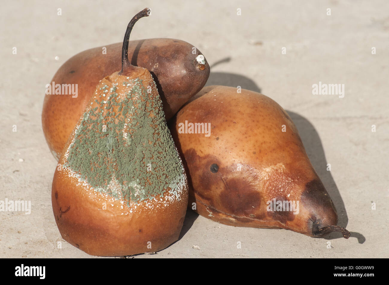 Rotten and moldy brown winter pears closeup Stock Photo - Alamy