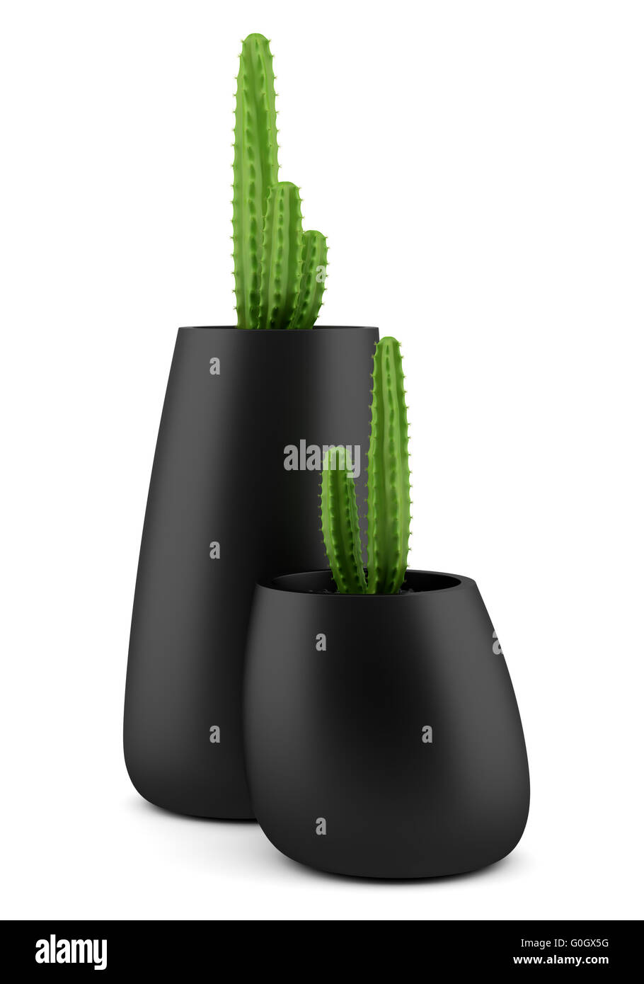 two cactuses in pots isolated on white background Stock Photo - Alamy