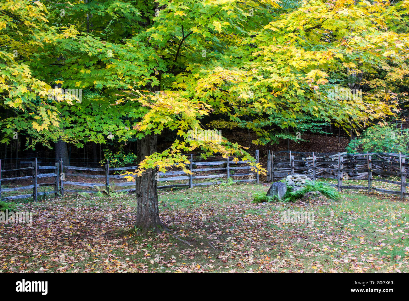 Split boulders hi-res stock photography and images - Alamy