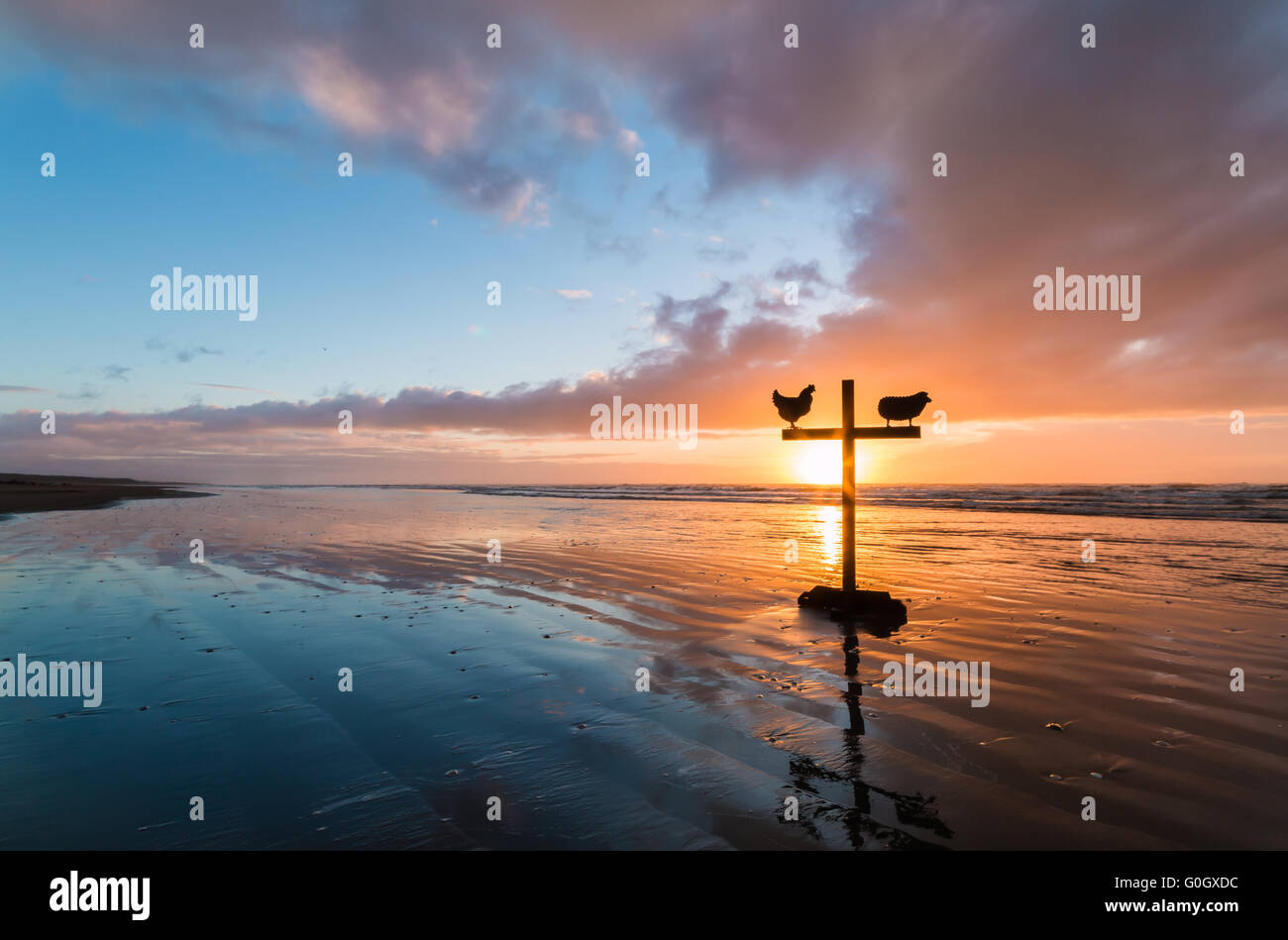 Rooster cross hi-res stock photography and images - Alamy