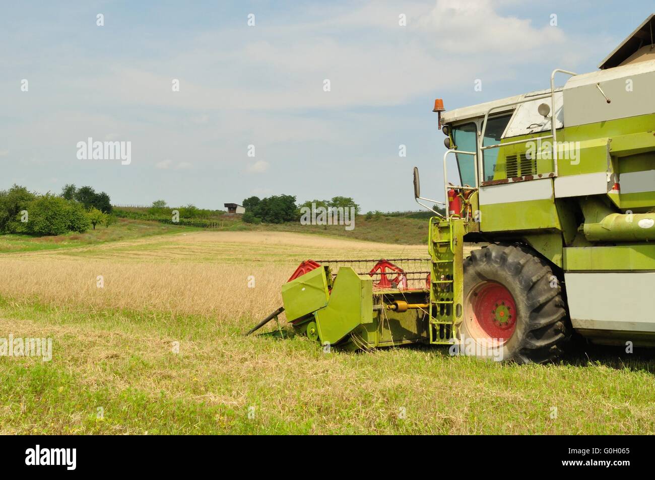 Modern combine harvester in the wheat field during harvesting Stock ...