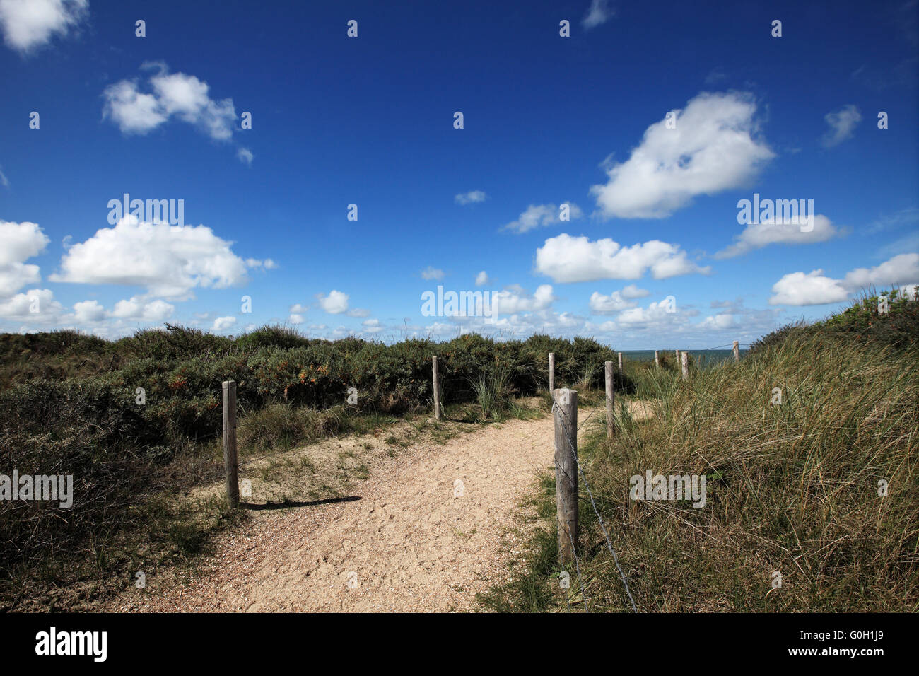 Coastal dune view hi-res stock photography and images - Alamy